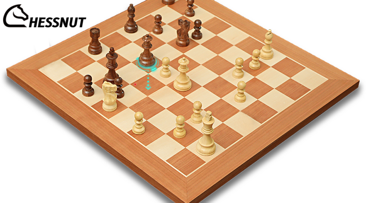 2_951698ac-baab-4045-b8e7-9a3ba511f3a6_1200x1200.png?v=1697619088