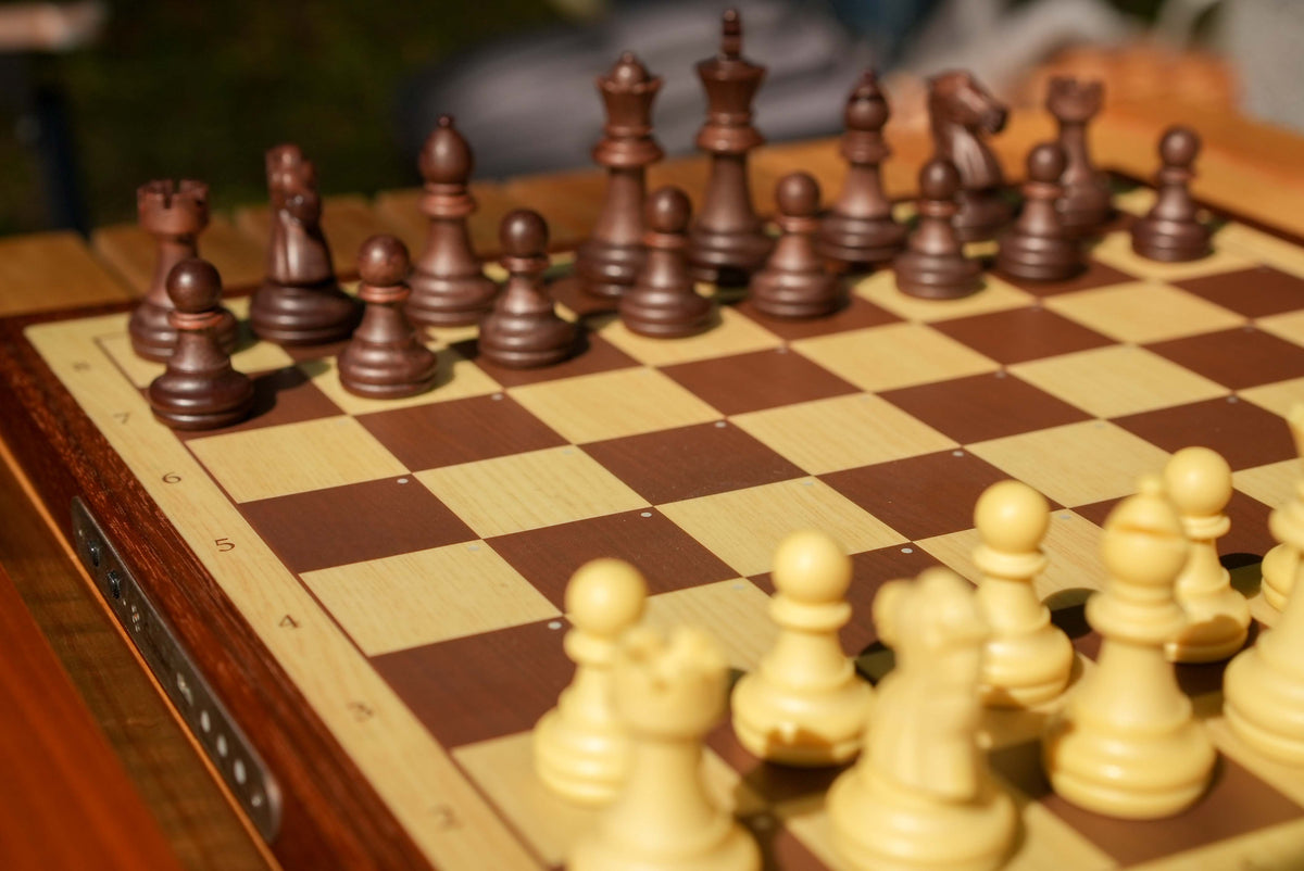 DSC00095_1200x1200.jpg?v=1719224294